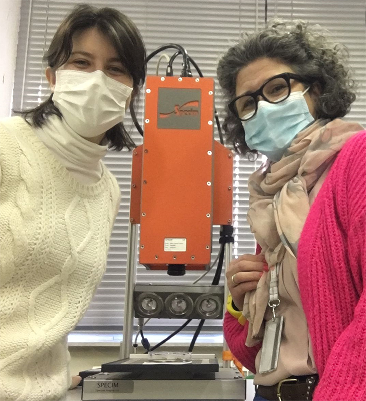 NIR hyperspectral imaging of ancient bone artifacts | Spectroscopy Europe/World